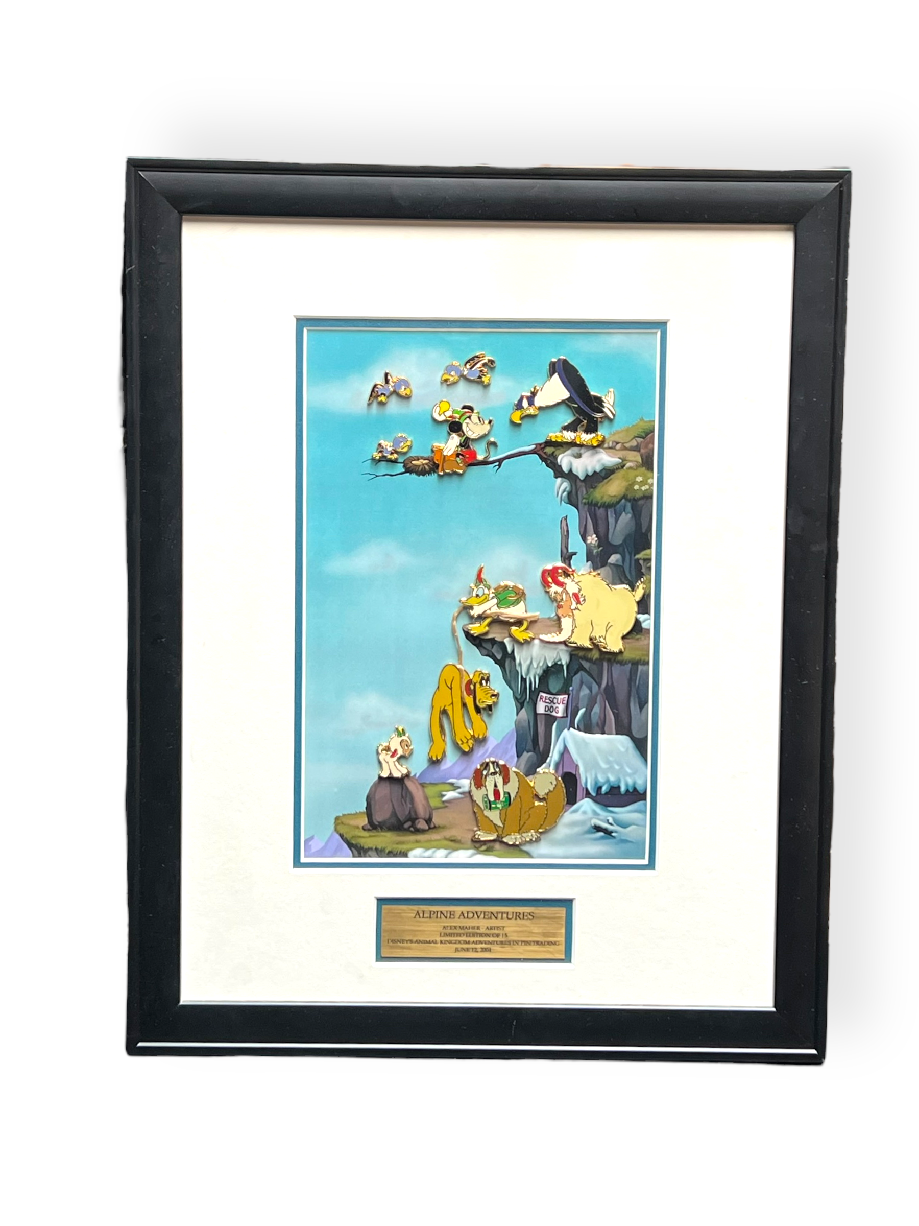WDW Alpine Adventures 10 Pin Frame Set